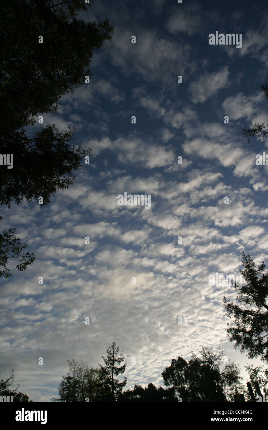 Oct 29, 2004; Los Angeles, CA, USA; Clouds in the sky Stock Photo - Alamy