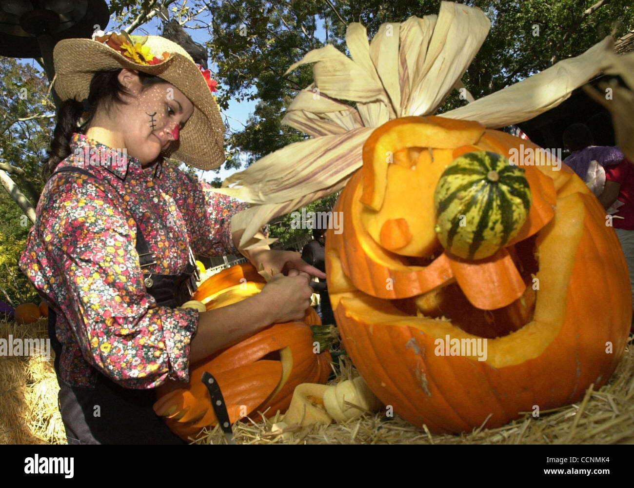 Pumpkin carver Liana Delucca (cq) of Livermore, Calif., carves an owl ...