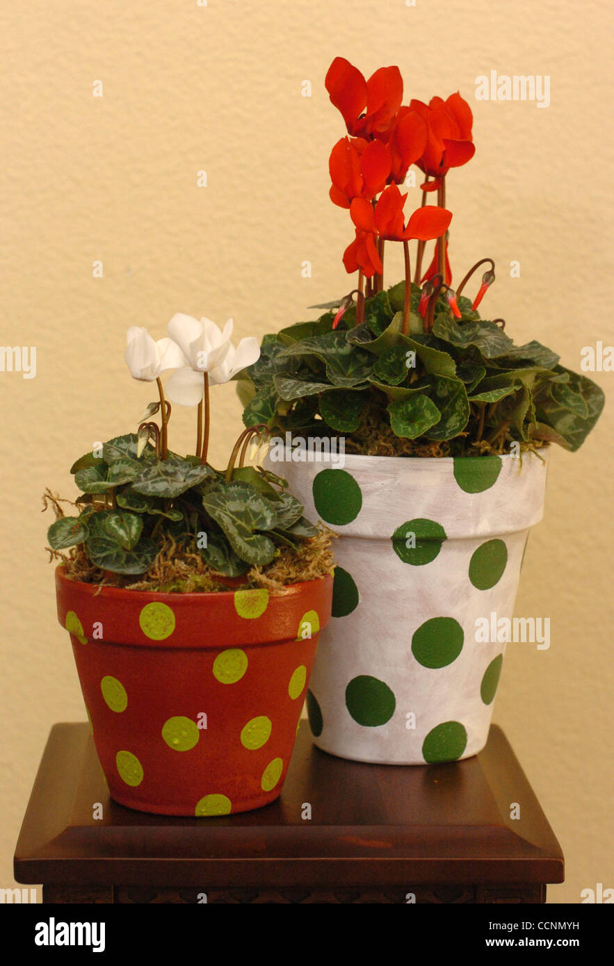 Gift ame mahler beanland nesting hi-res stock photography and images ...