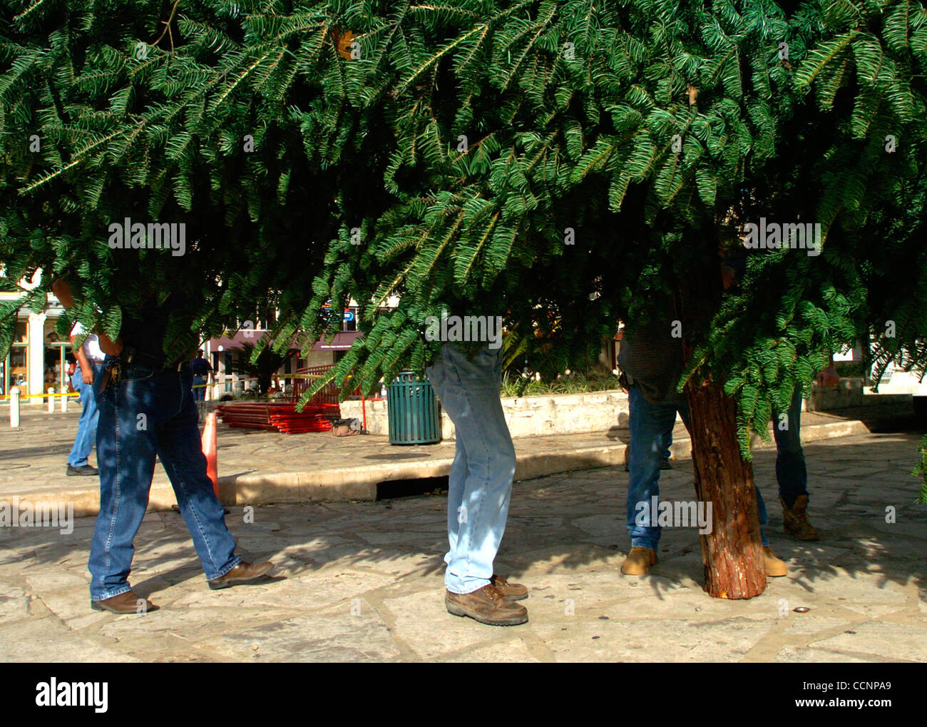 METRO --- Workers walk beneath the H-E-B Christmas tree in Alamo Plaza ...