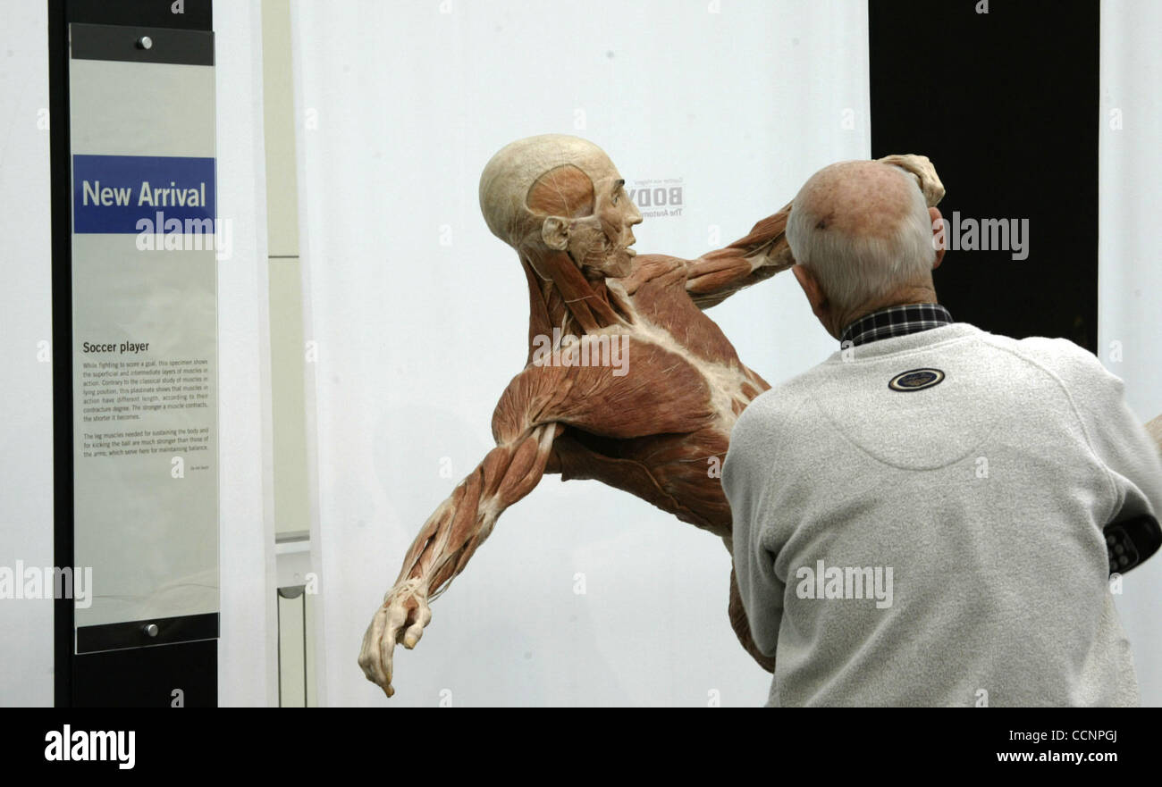 Nov 22, 2004; Los Angeles, CA, USA; Visitors take a good look at the ...