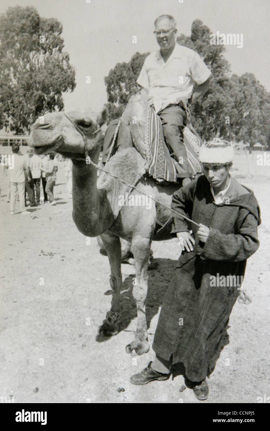 Camel sat hi-res stock photography and images - Alamy