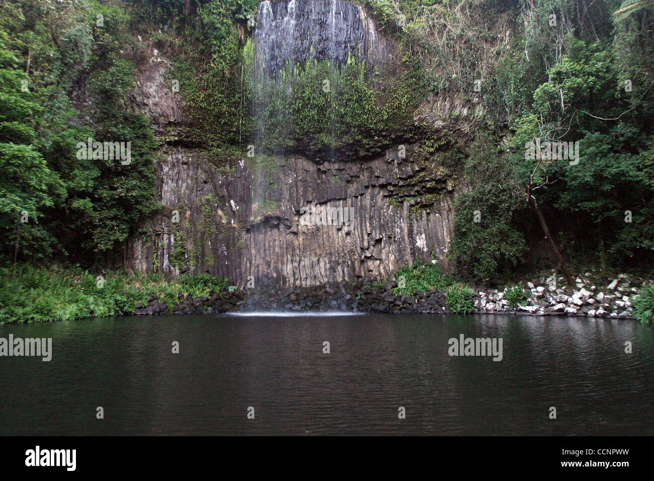Milaa milaa waterfall in queensland hi-res stock photography and images ...