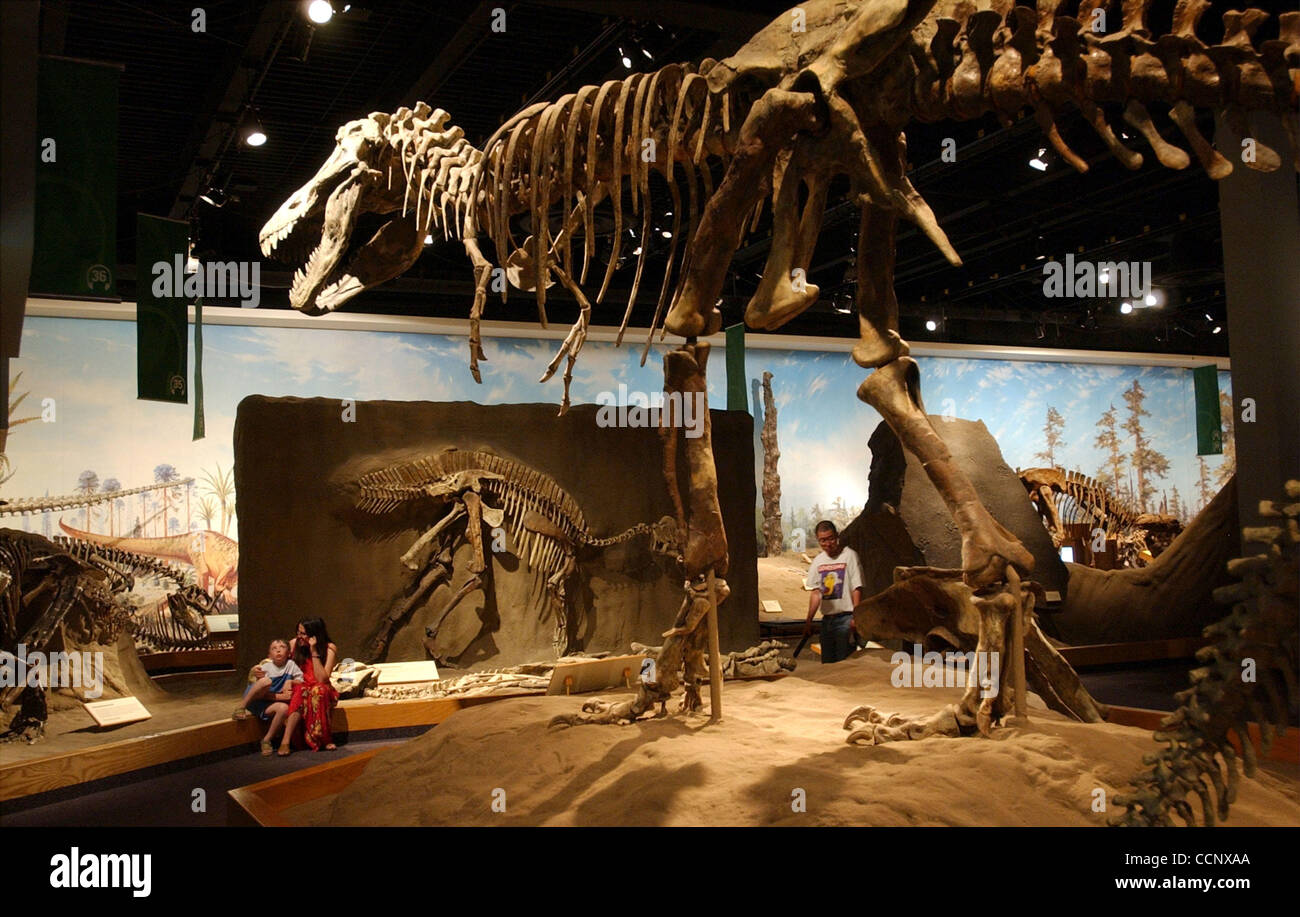 Jun 15, 2003 - Drumheller, Alberta, Canada - A T-Rex skeleton towers ...