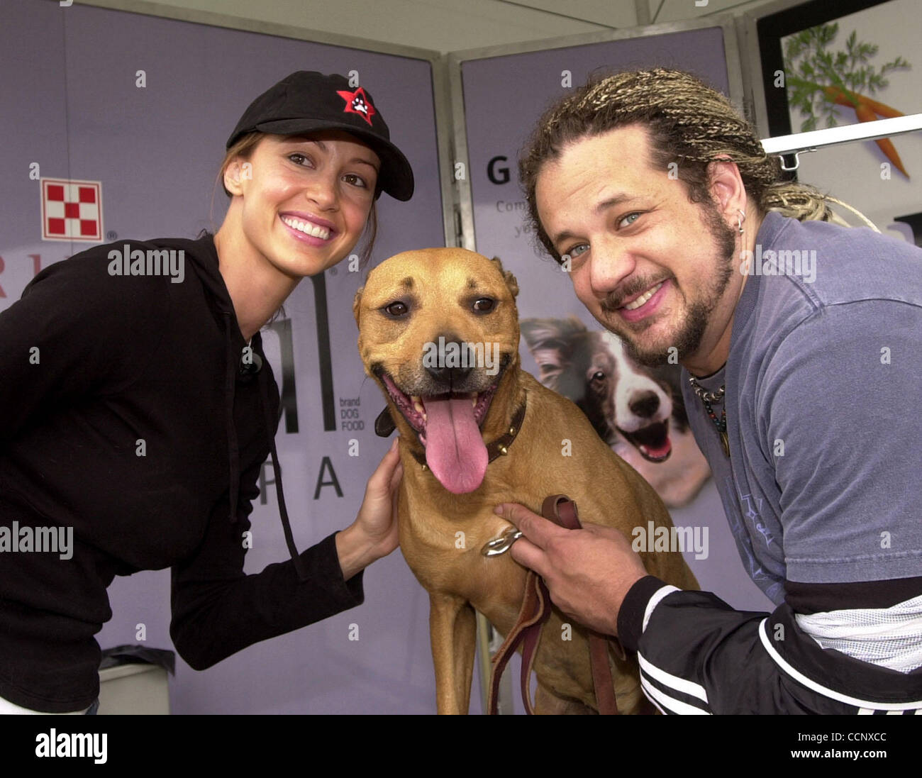 Shannon elizabeth husband joe reitman hi-res stock photography and ...