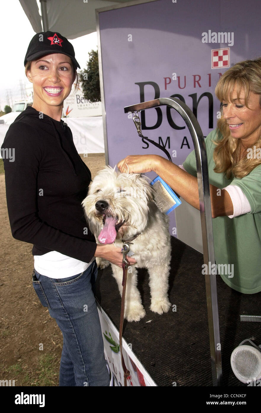 Purina beneful hi-res stock photography and images - Alamy