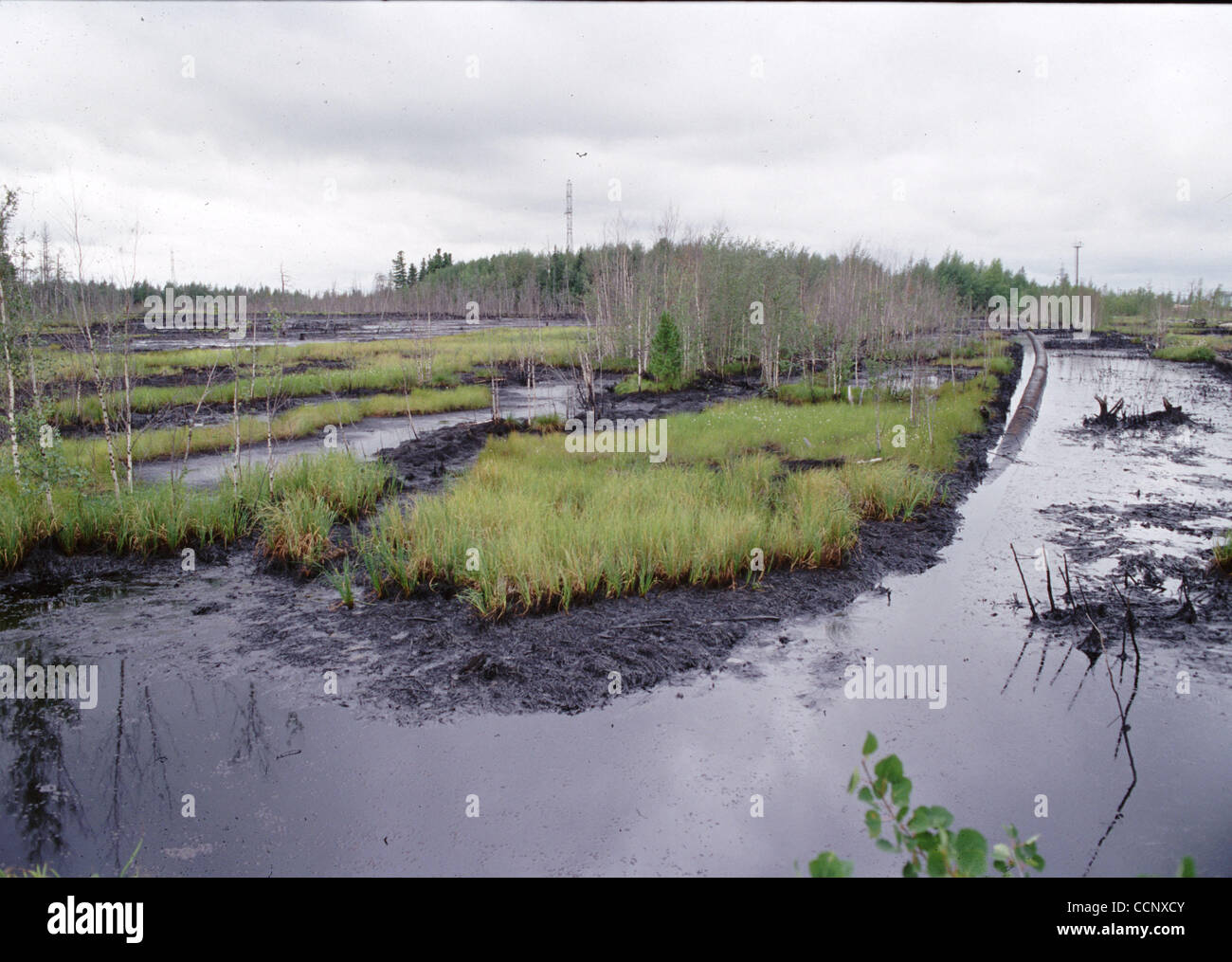 Samotlor oil field in Tyumen region of Russia. Samotlor oil field ...