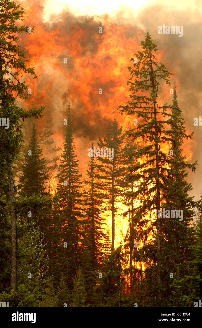 Flathead national forest hi-res stock photography and images - Alamy