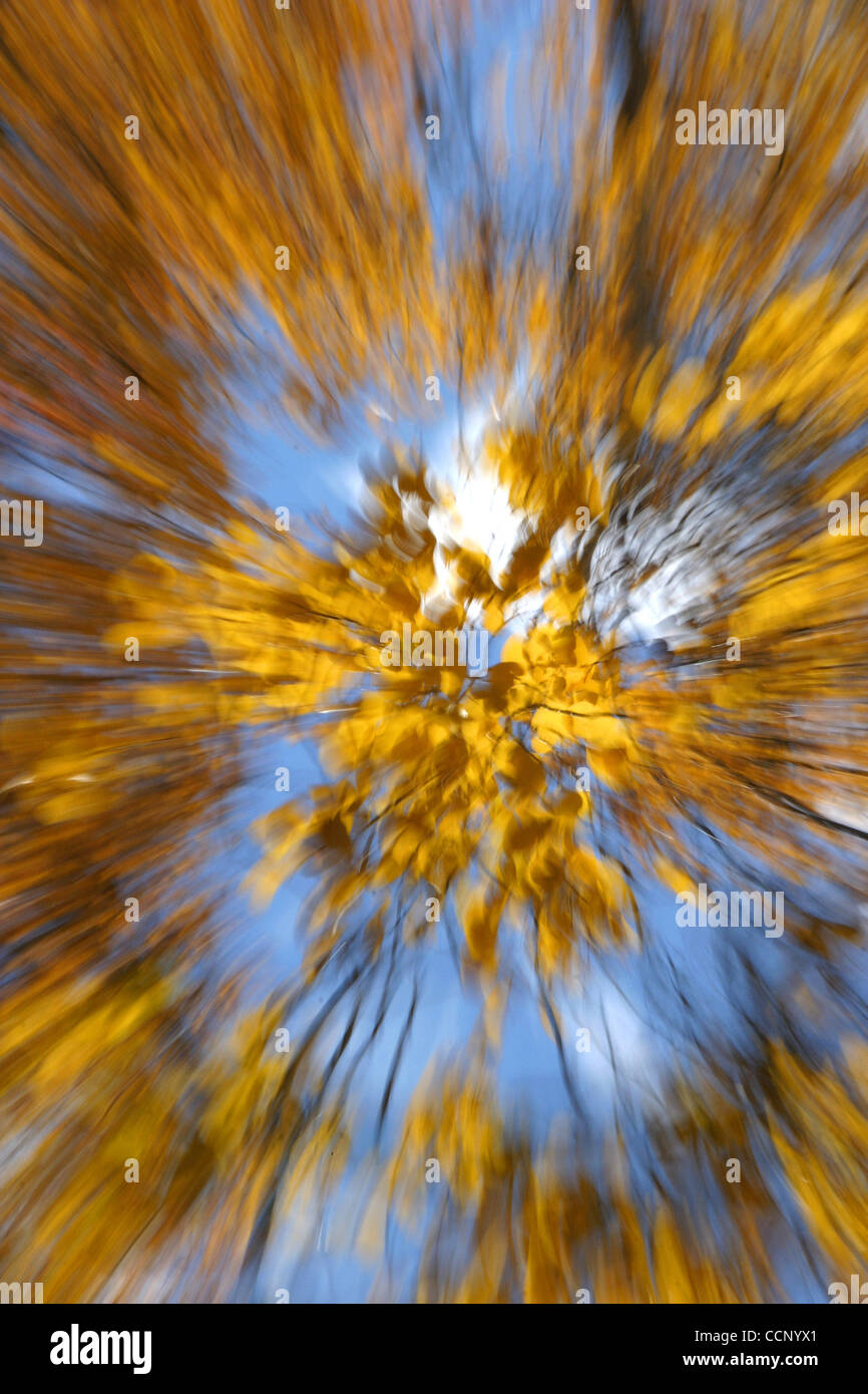 Oct. 13, 2004 - Greer, Arizona, United States of America - As the ...