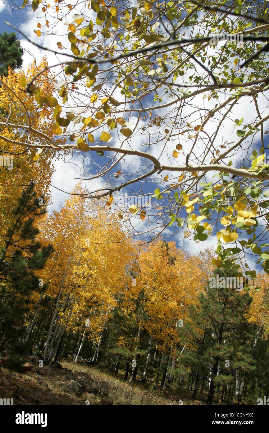 White mountains eastern arizona hi-res stock photography and images - Alamy