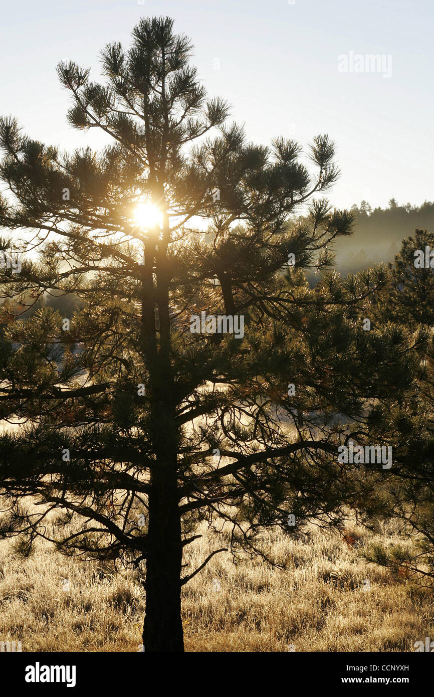 White mountains of eastern arizona hi-res stock photography and images ...