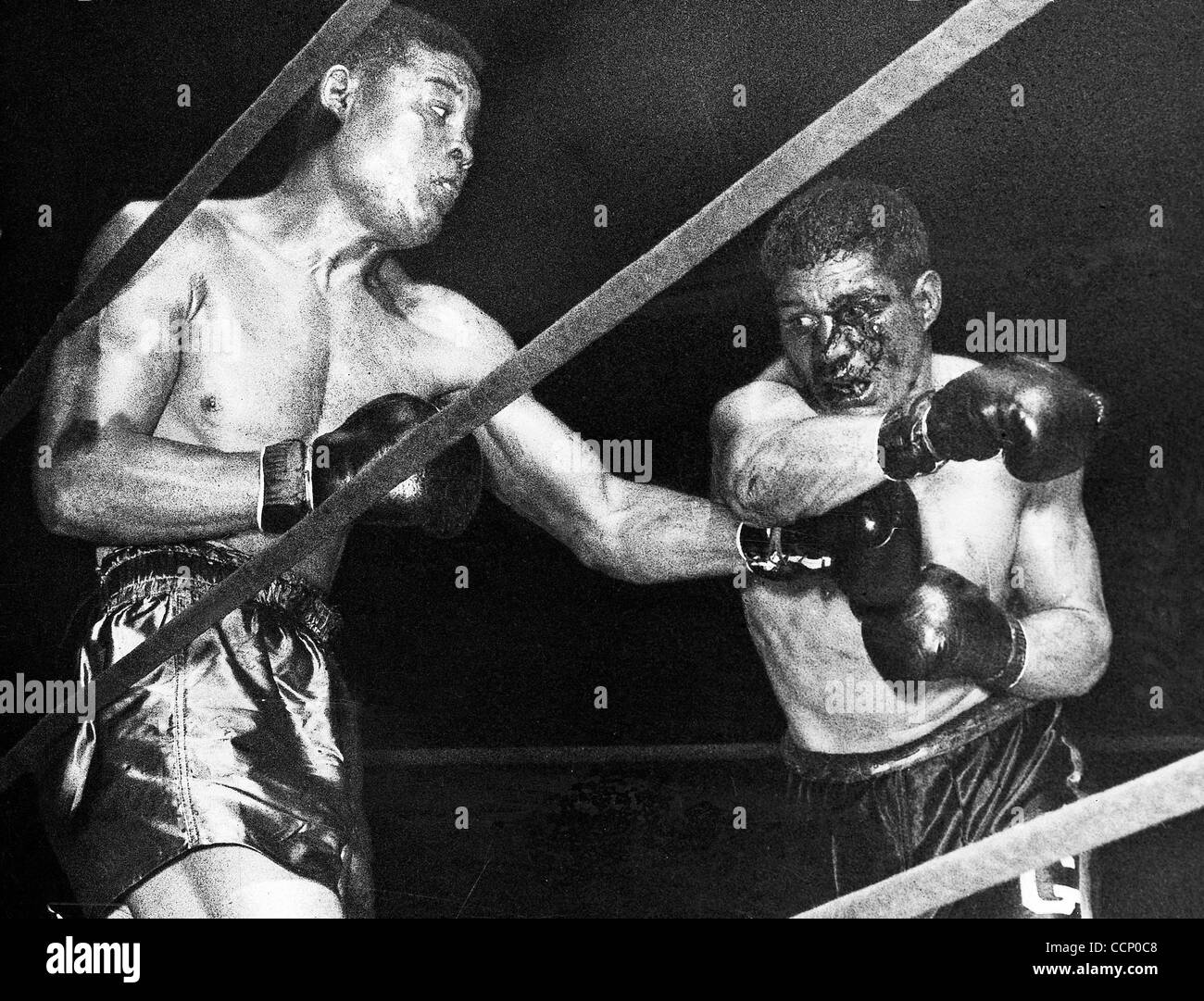 Bloody Boxer Boxing Boxing Stock Photos & Bloody Boxer Boxing Boxing ...