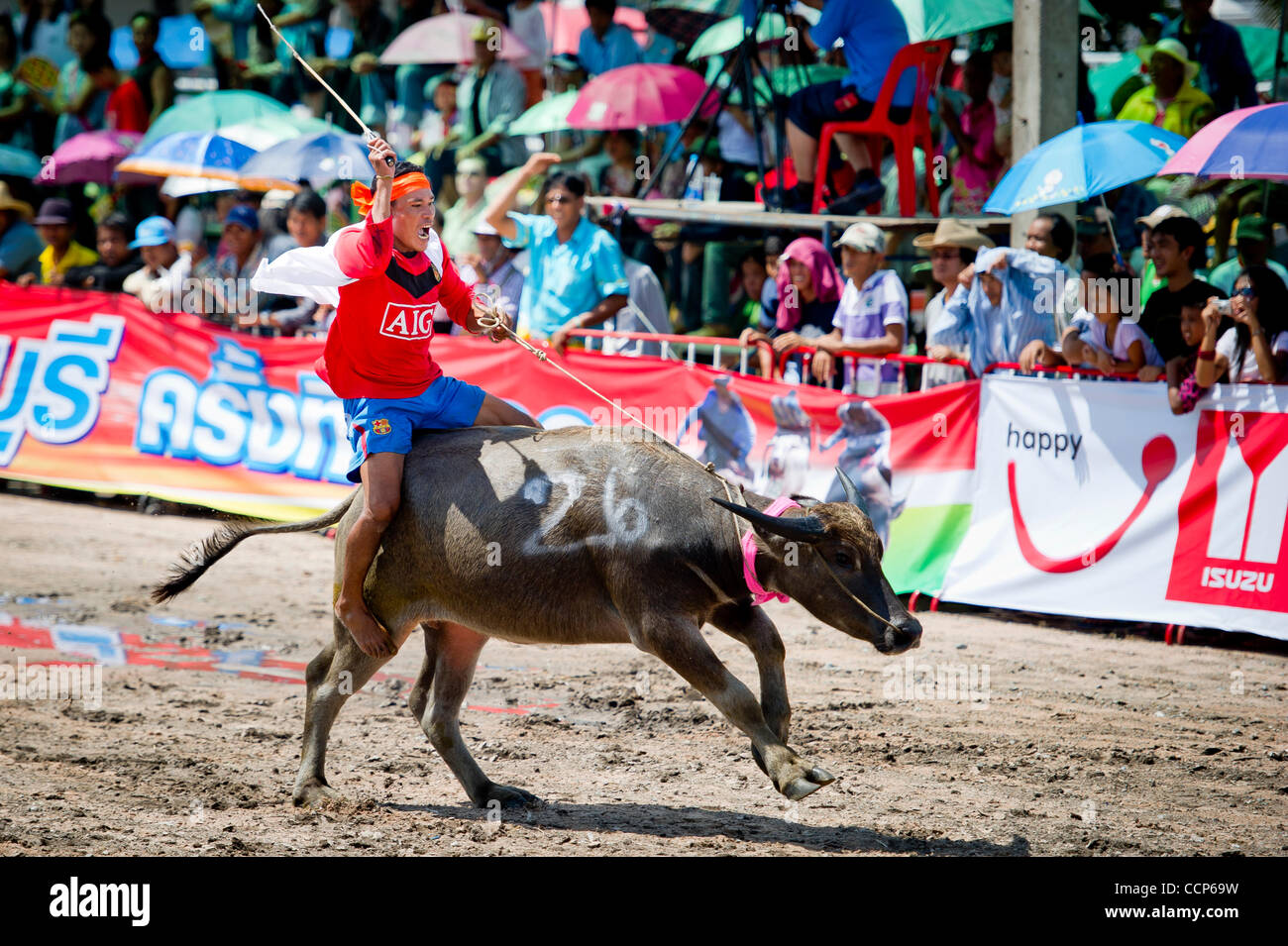 Oct. 22, 2010 - Chonburi, Thailand - A Thai farmer rides on a buffalo ...