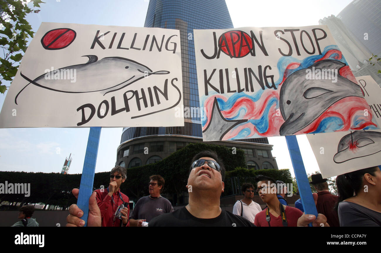 Save our dolphins hi-res stock photography and images - Alamy