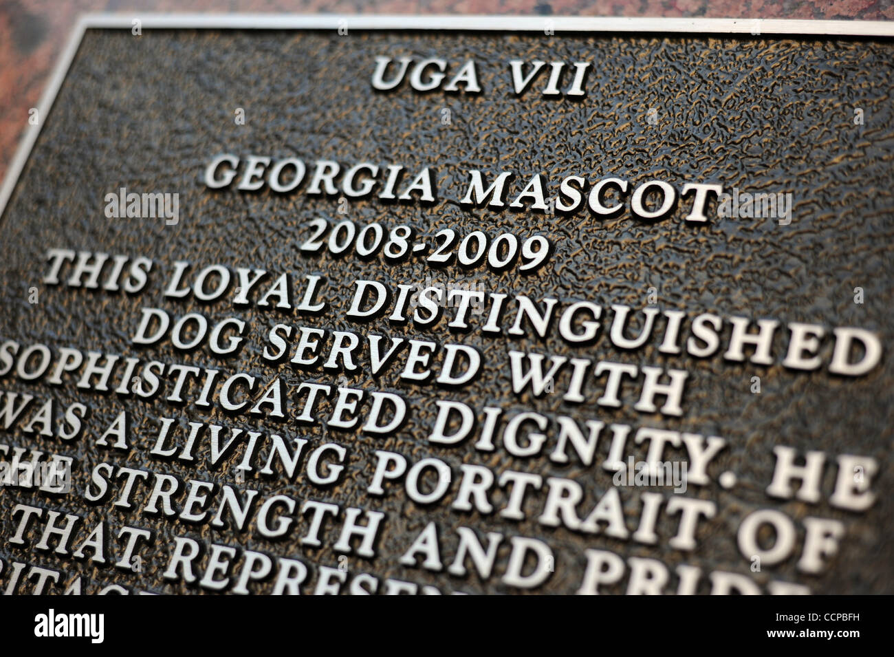 Georgia bulldog uga vii hi-res stock photography and images - Alamy