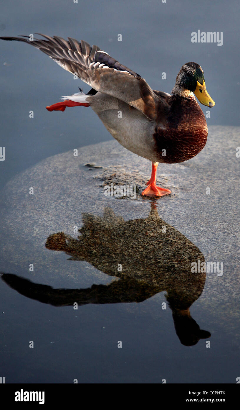 Oct. 12, 2010 - Bakersfield, CA, USA - Casey Christie / The Californian ...