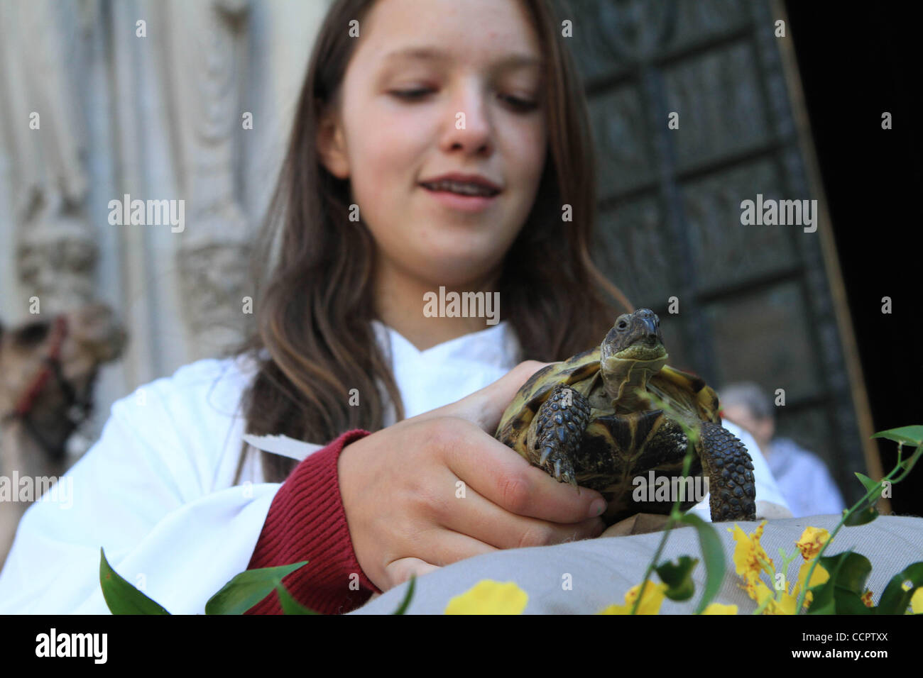 A turtle joins the procession. Animals on parade inside Cathedral of St ...