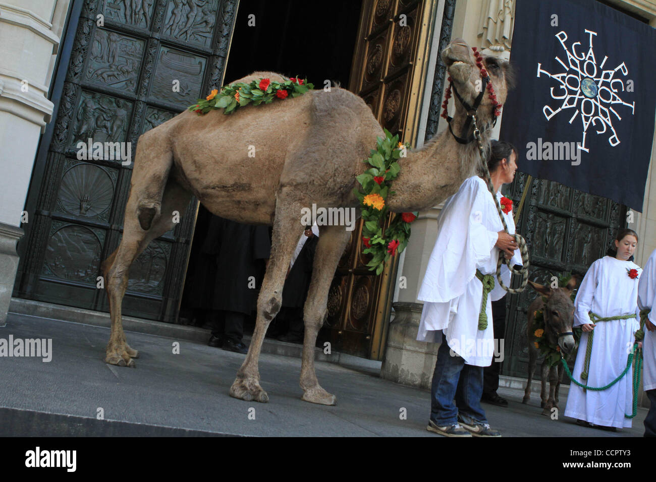 Animals camel parade hi-res stock photography and images - Alamy