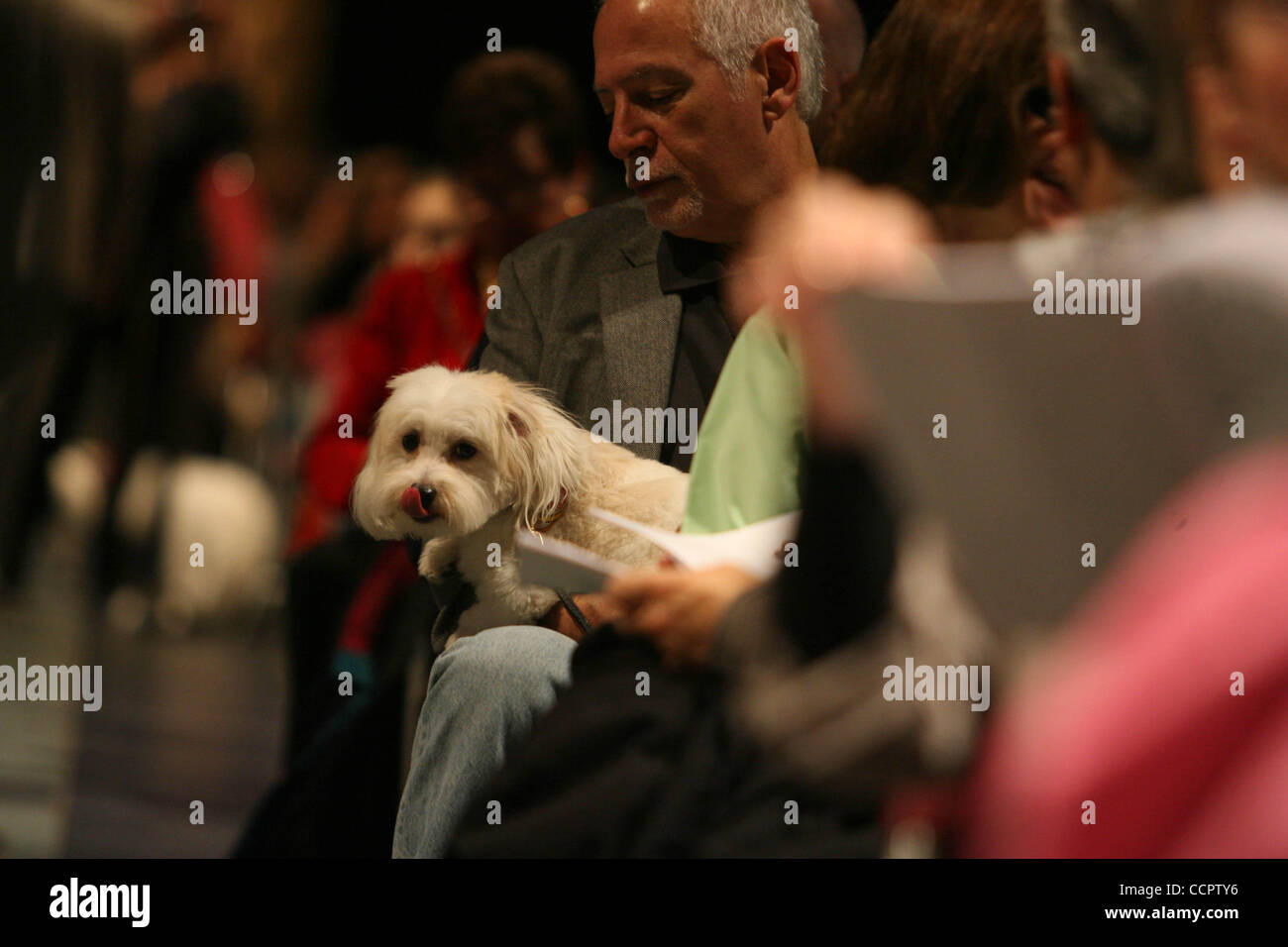 15 month-old Atticus waits for the blessing. Animals on parade inside ...