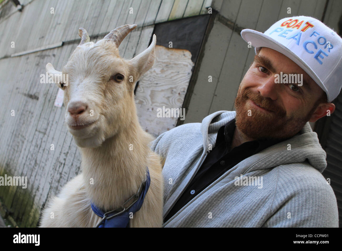 Doni the goat with Justin Oswald. Animals on parade inside Cathedral of ...