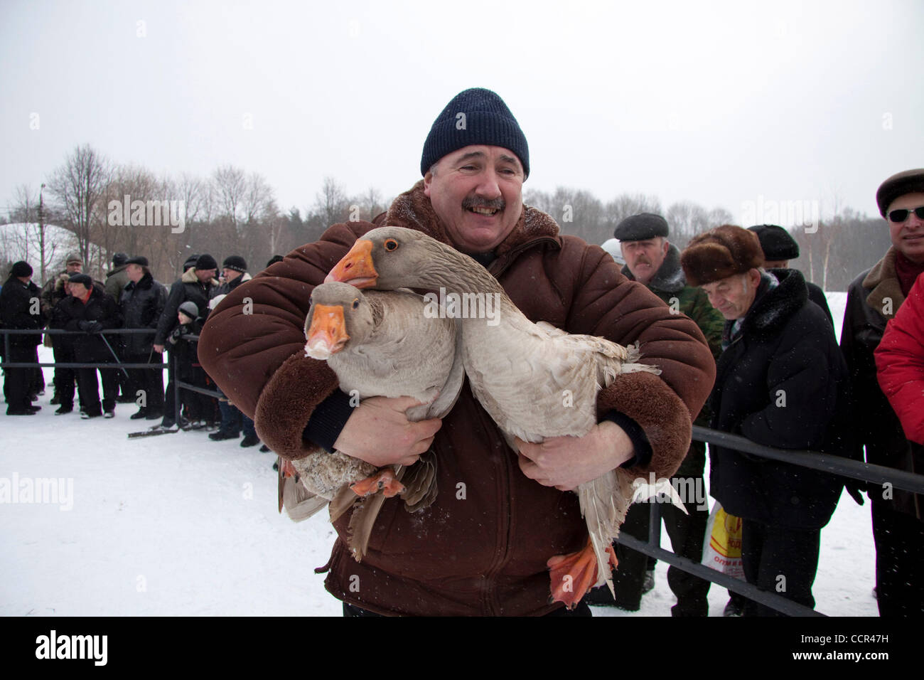 Traditional geese fighting in the town of Tula just about 180 km out of ...