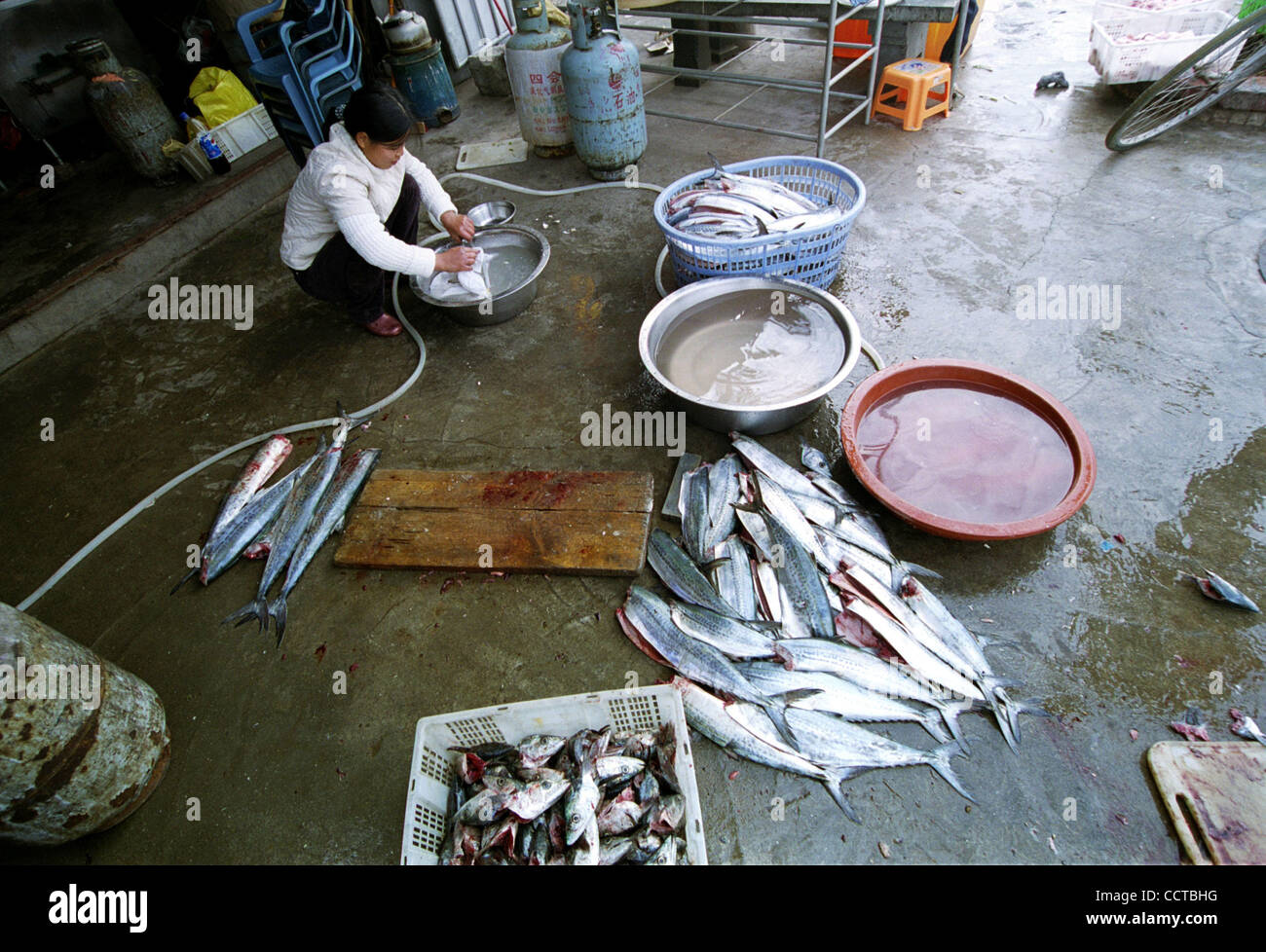 Feb 03, 2003 - Chong Wu, CHINA - Fishermans harbour (Credit Image ...