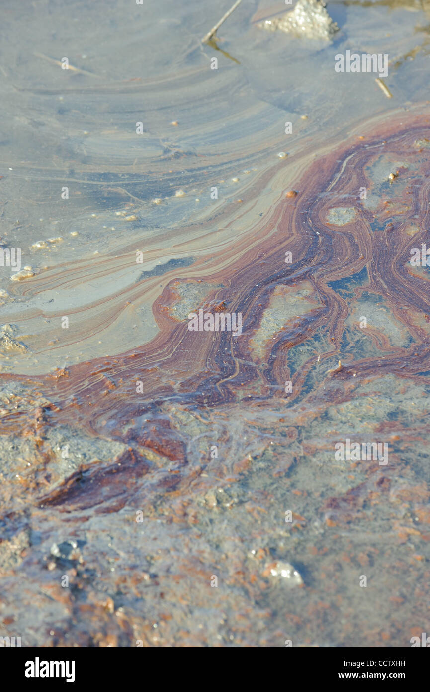 Crude oil washed up on barrier island near Port Fourchon, Louisiana ...