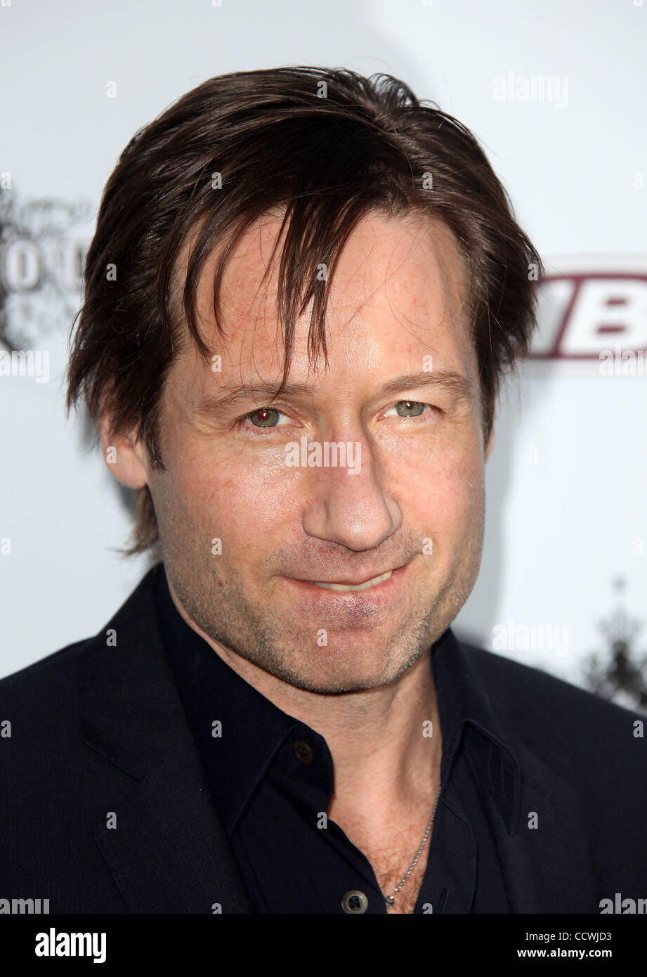 Apr 8, 2010 - Hollywood, California, USA - Actor DAVID DUCHOVNY ...