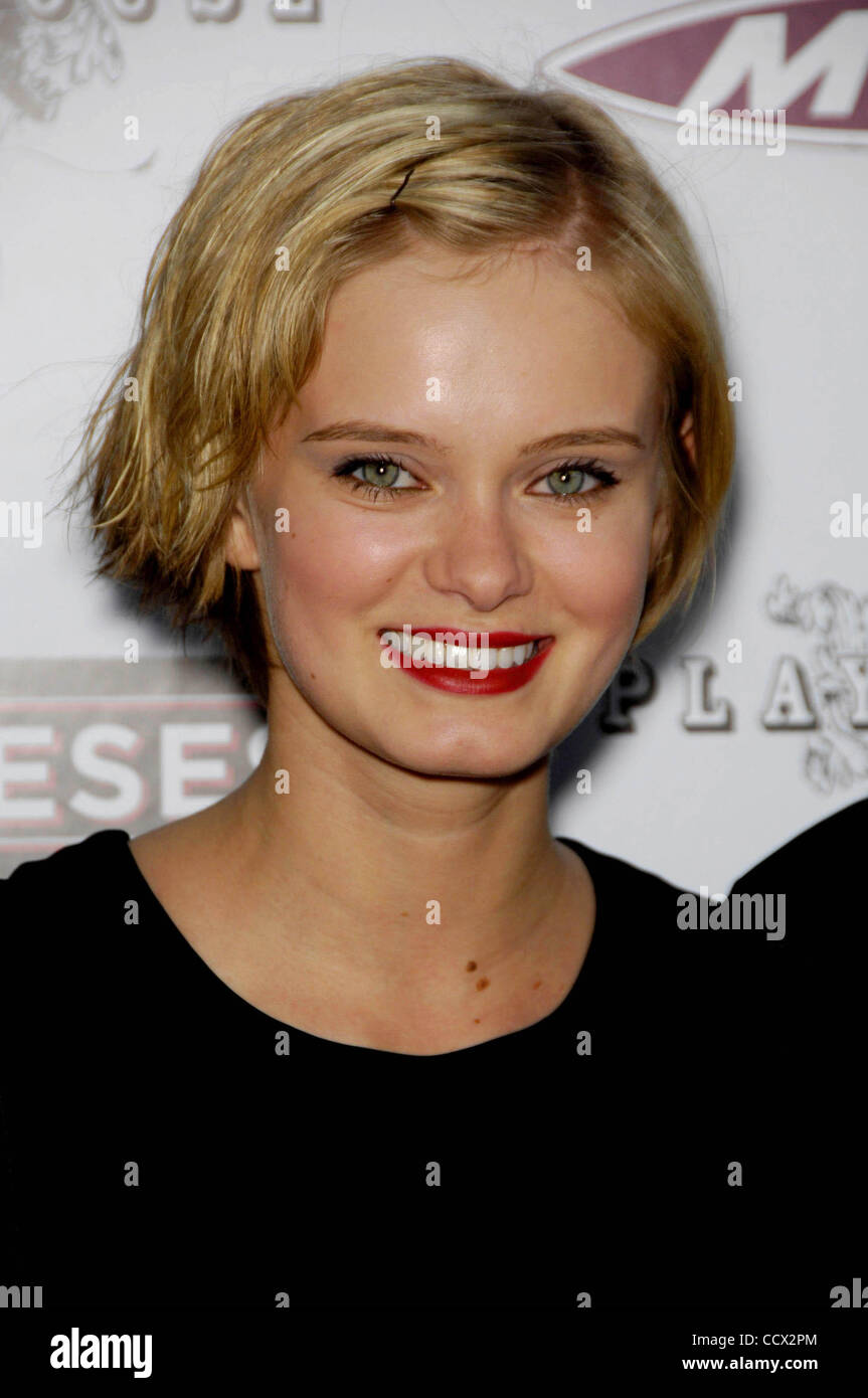 Sara Paxton Brown Hair