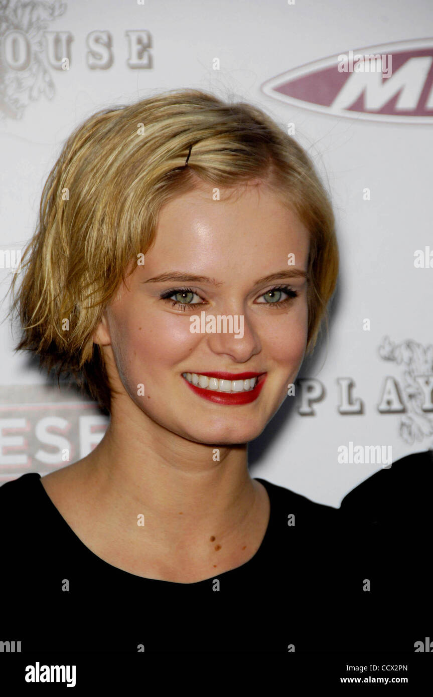 Sara Paxton Brown Hair
