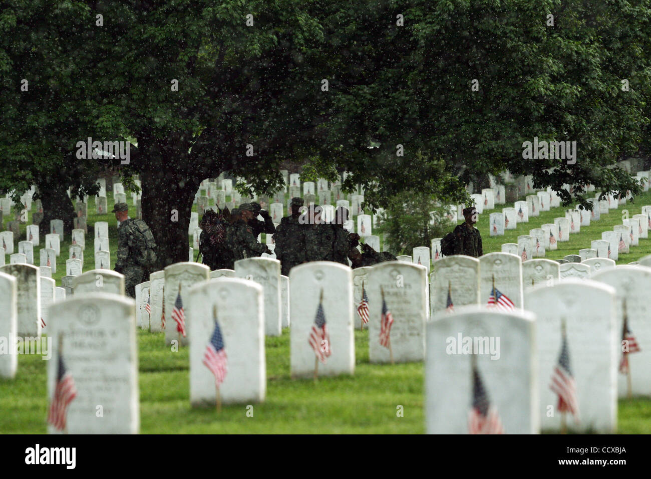 Placing flags at cemetery hi-res stock photography and images - Alamy