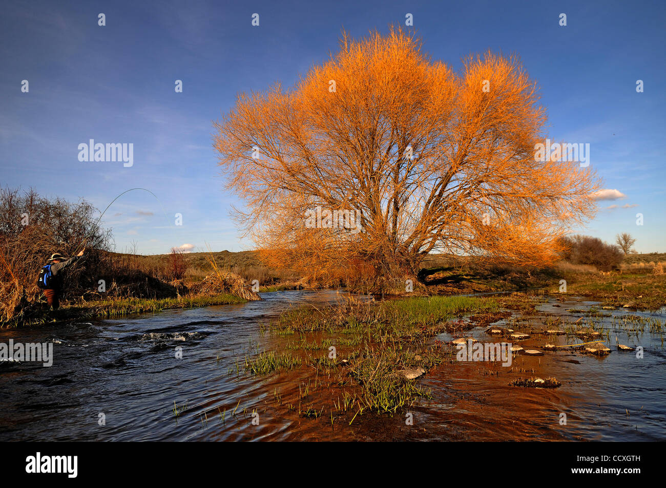 Mar. 07, 2010 - Tokio, Washington, USA - As the march brown hatch ...