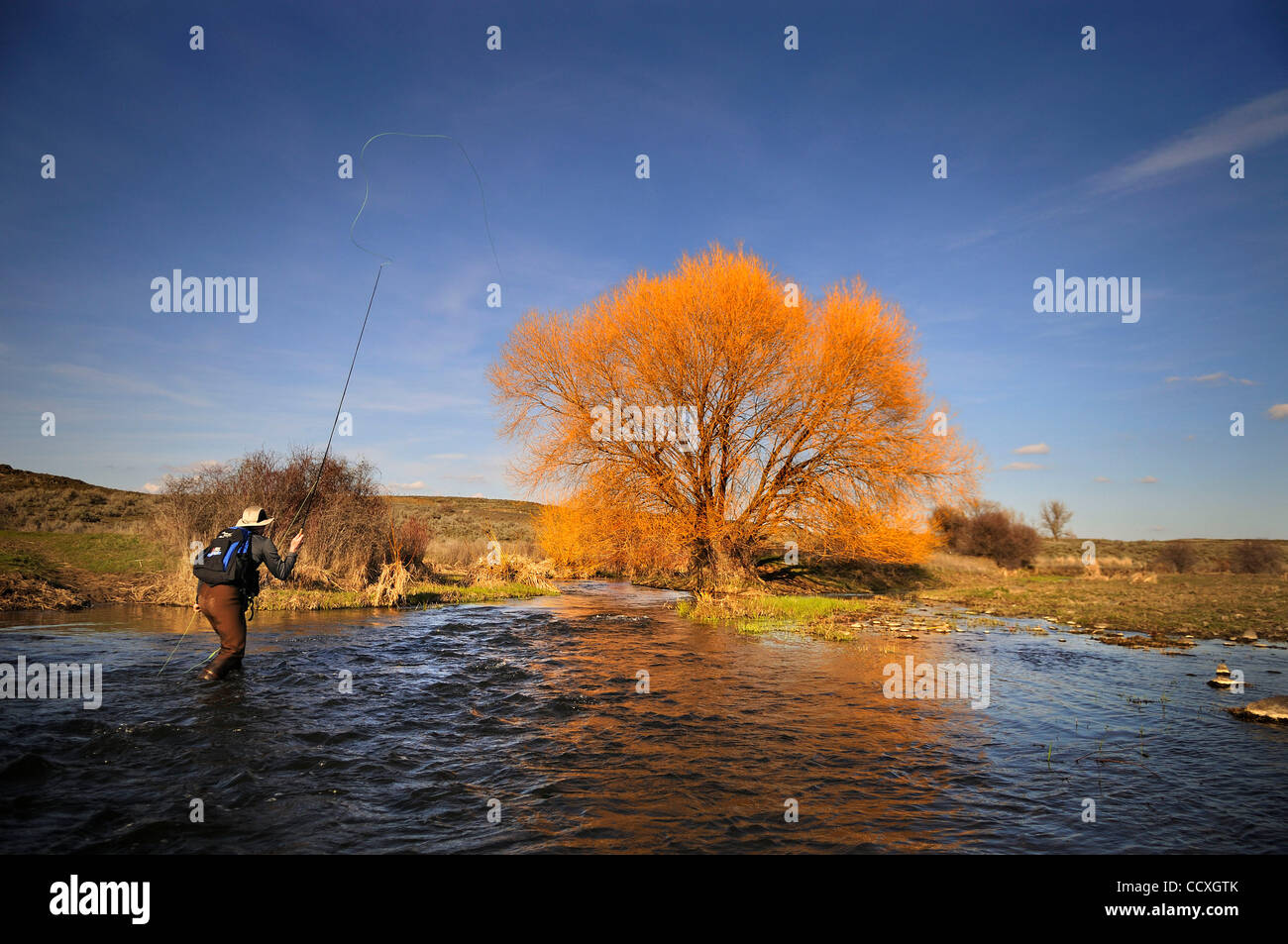 Mar. 07, 2010 - Tokio, Washington, USA - As the march brown hatch ...