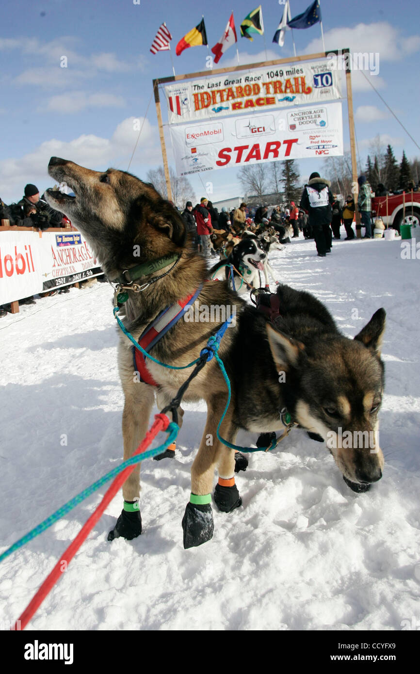 Cim Smyth's sled dogs race howl as they get ready to race down starting ...