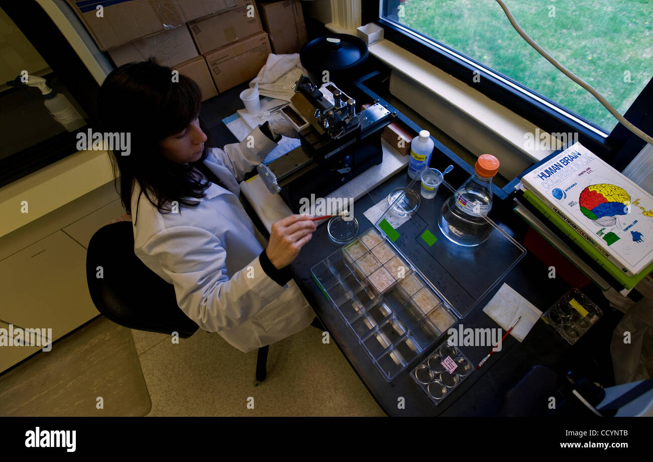 Apr 20, 2010 - Bedford, Massachusetts, USA - KERRY CORMIER, a research ...