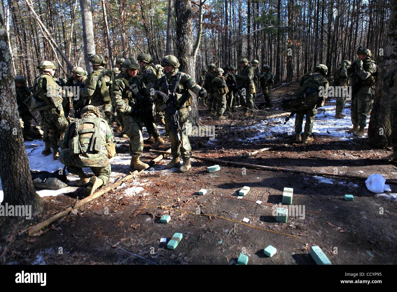 The basic school tbs hi-res stock photography and images - Alamy