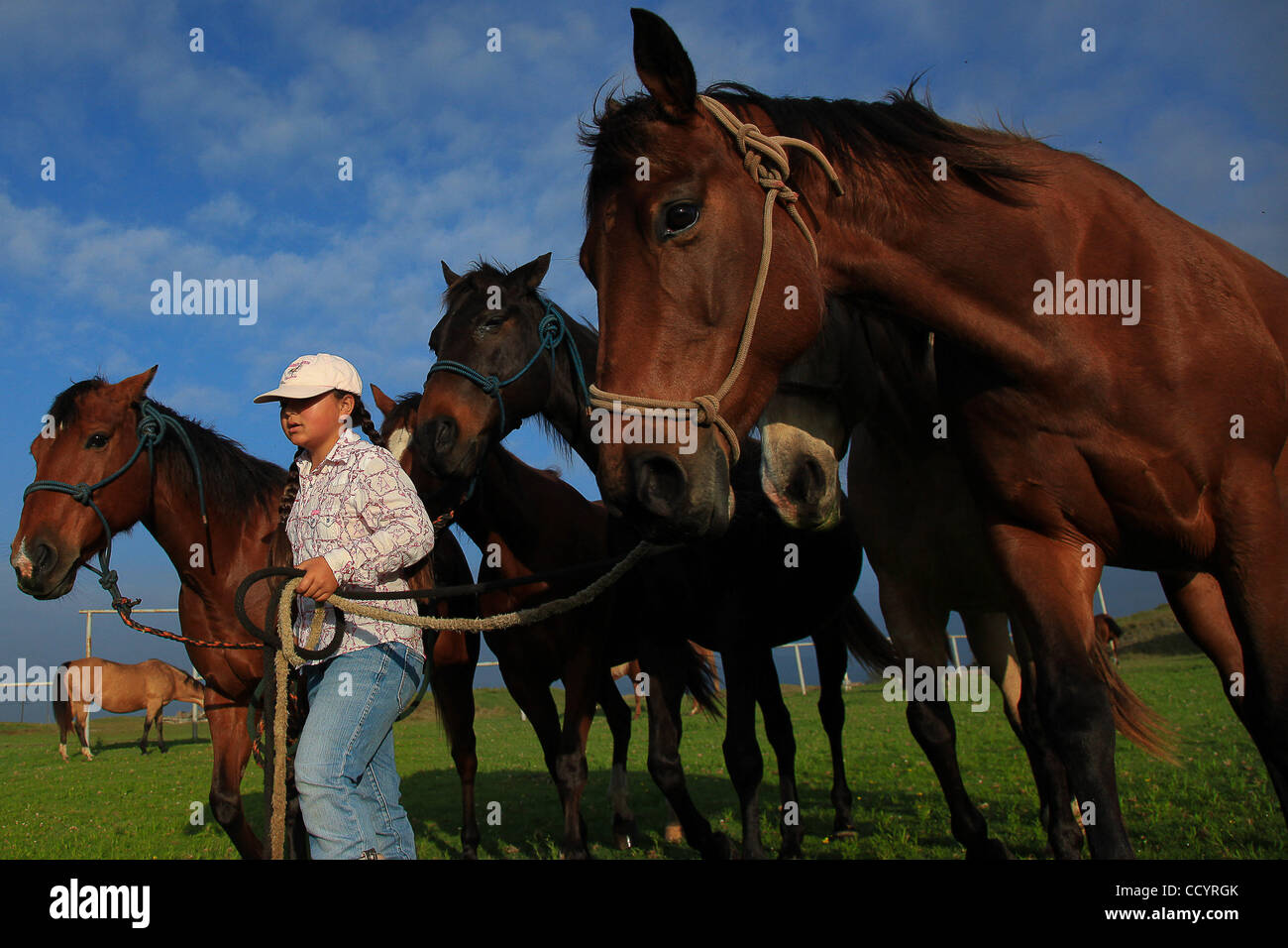 Wimea hi-res stock photography and images - Alamy