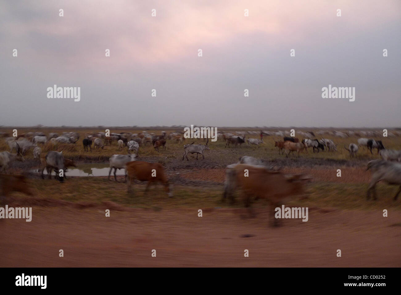 Turalei hi-res stock photography and images - Alamy