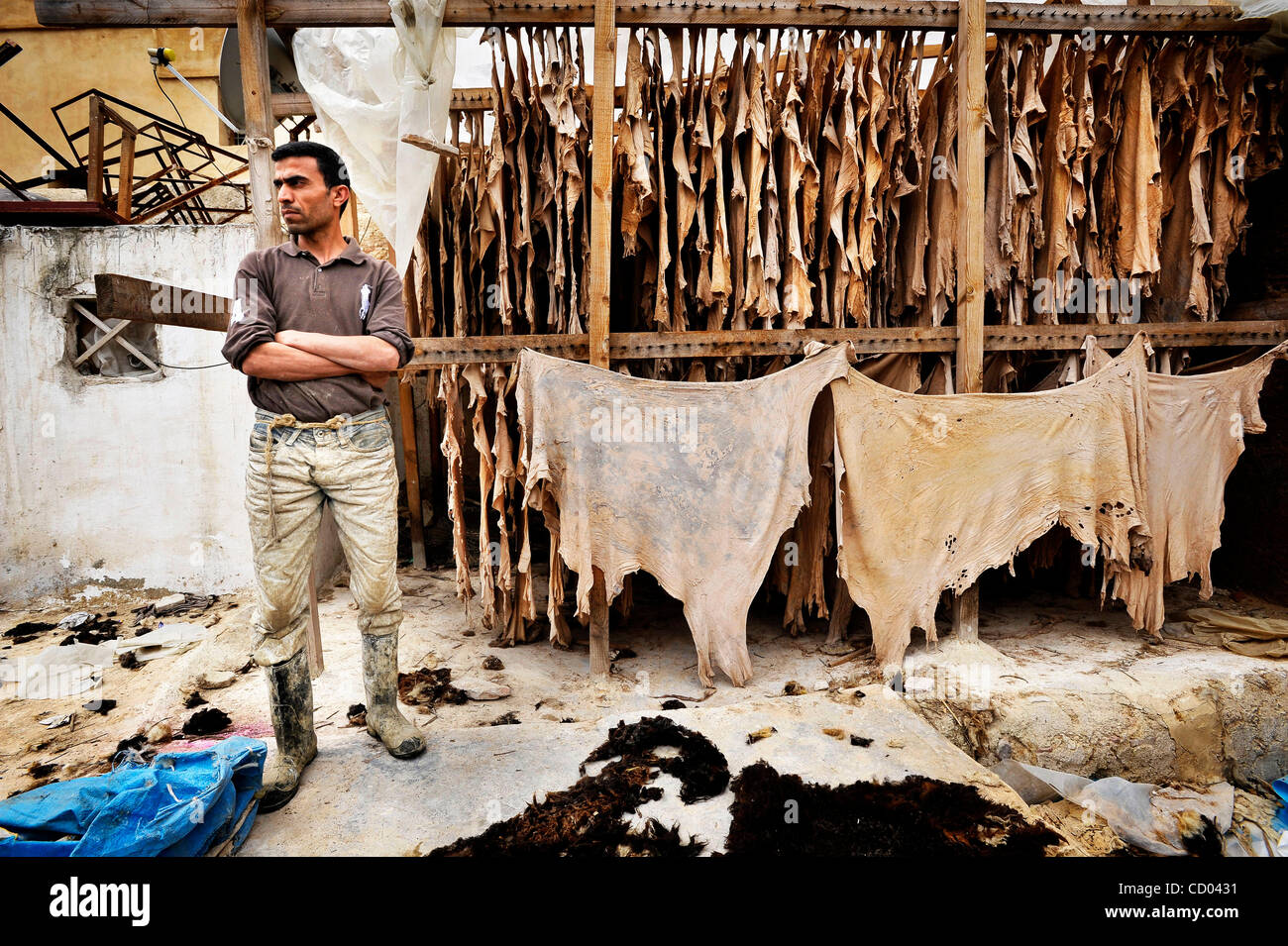 Fez tannery hides goats hi-res stock photography and images - Alamy