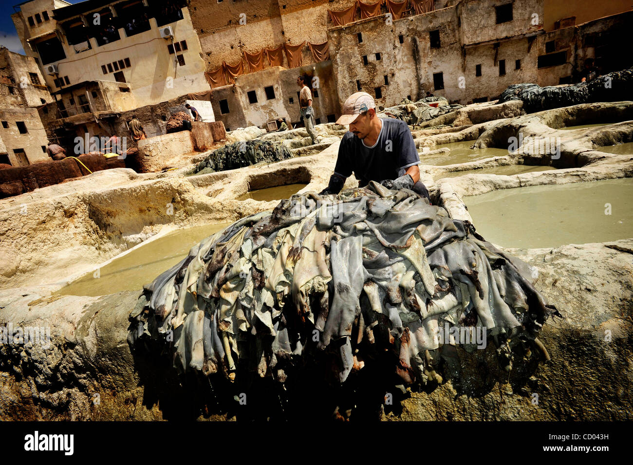 Washing Goat High Resolution Stock Photography and Images - Alamy