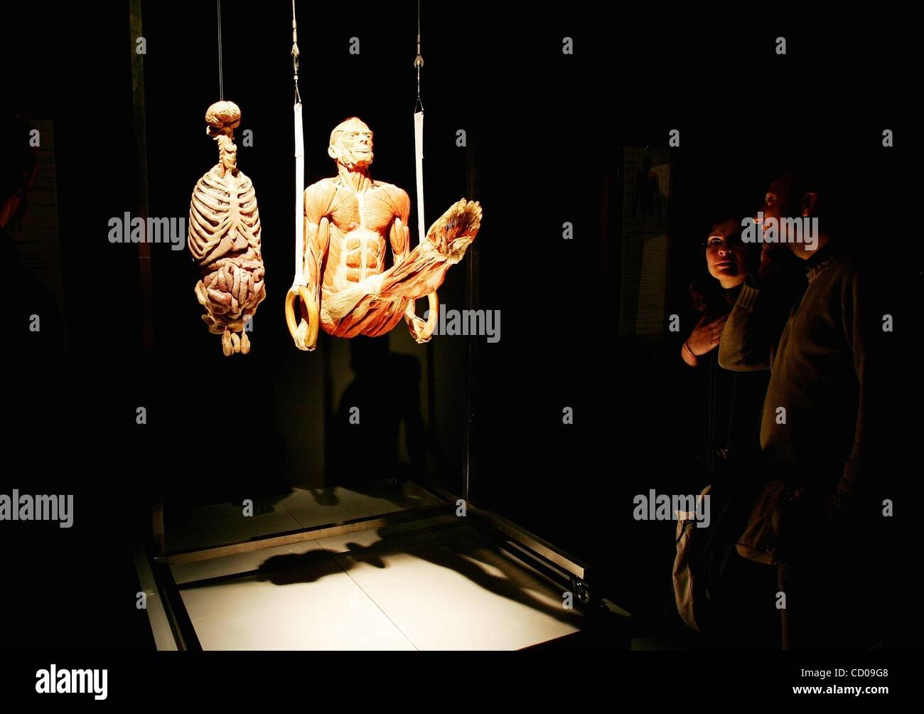 Plastinated human body hi-res stock photography and images - Alamy