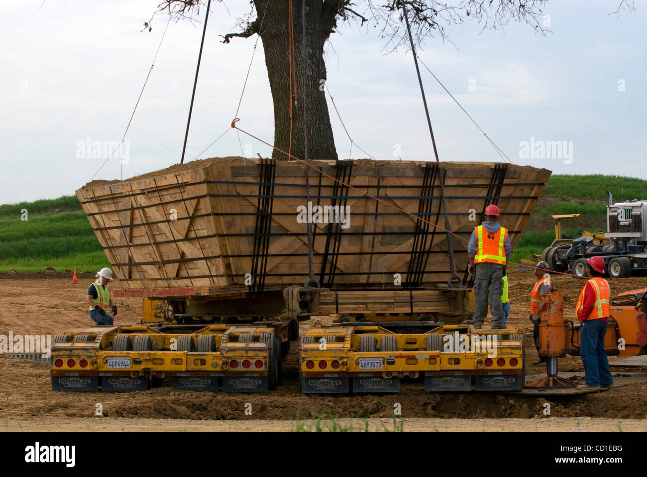 A 185,000-pound live oak tree, estimated to be more than 100 years old ...