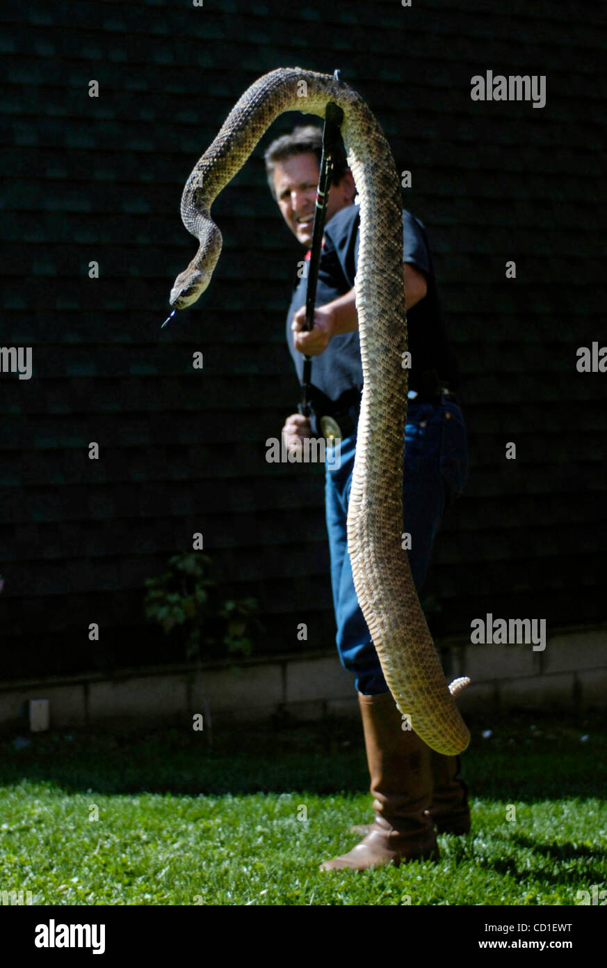 Len ramirez ramirez rattlesnake removal hi-res stock photography and ...
