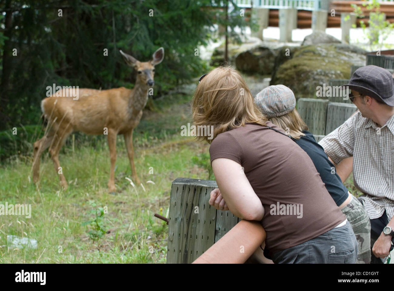 Newhalem north cascades national park hi-res stock photography and ...