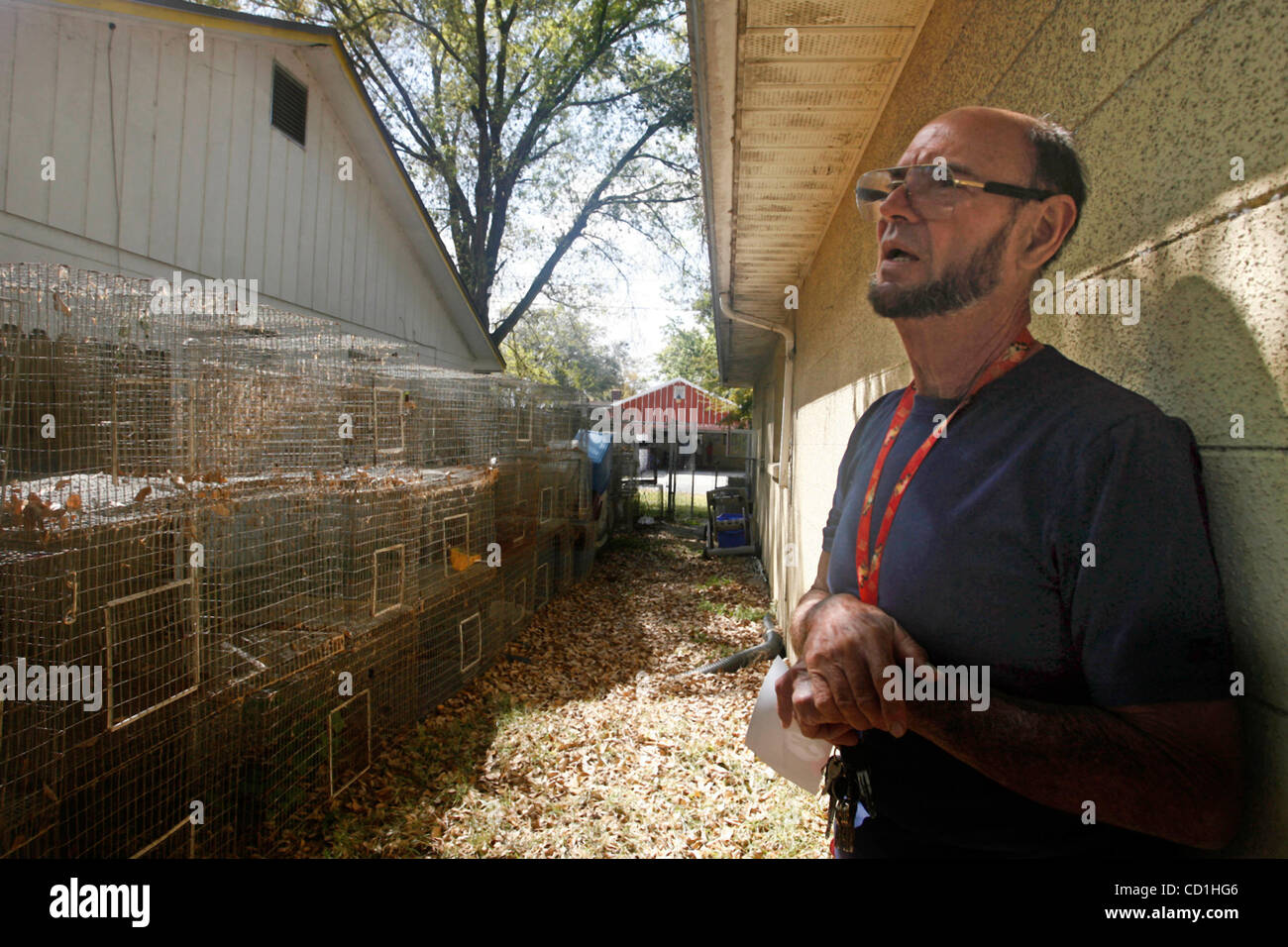 TP 302836 DEAN rabbits 1.ATOYIA DEANS | Times.(03/09/2009 Tampa) Peter ...