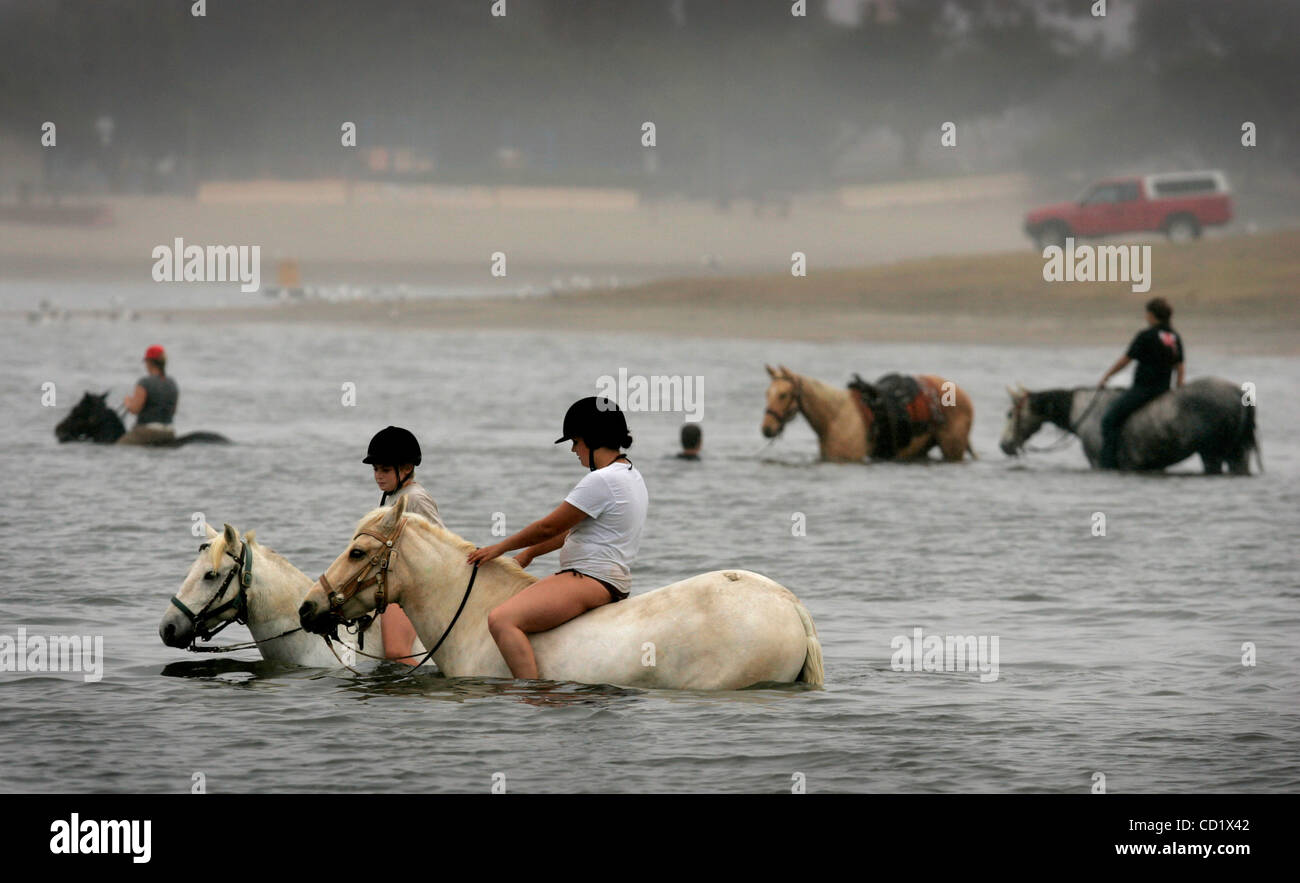 HLxolHorses291902x001.jpg 11/02/2008 MISSION BAY PARK (San Diego ...