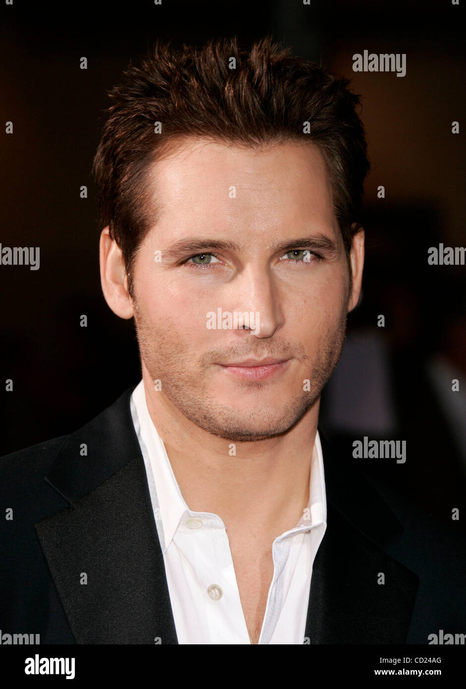 Nov 17, 2008 - Westwood, California, USA - Actor PETER FACINELLI ...