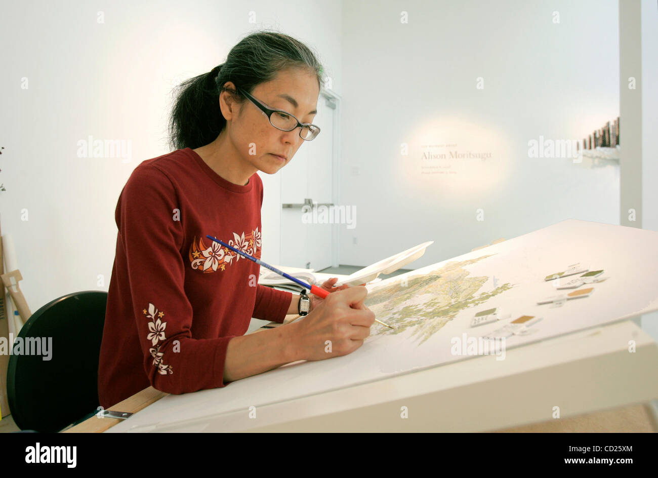 November 20, 2008, Encinitas, California, USA Lux Resident Artist ...