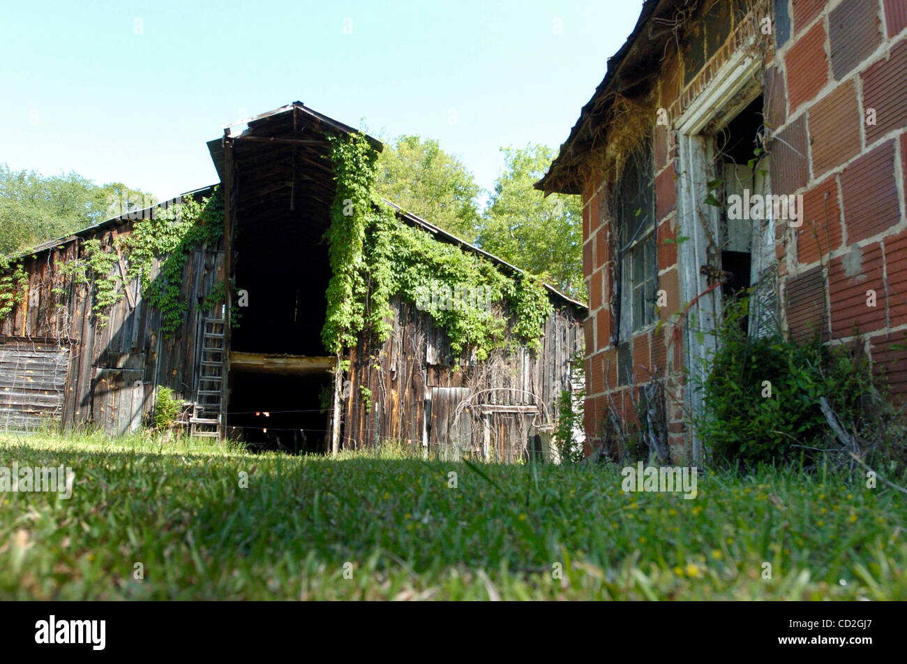 Flannery o'connor hi-res stock photography and images - Alamy