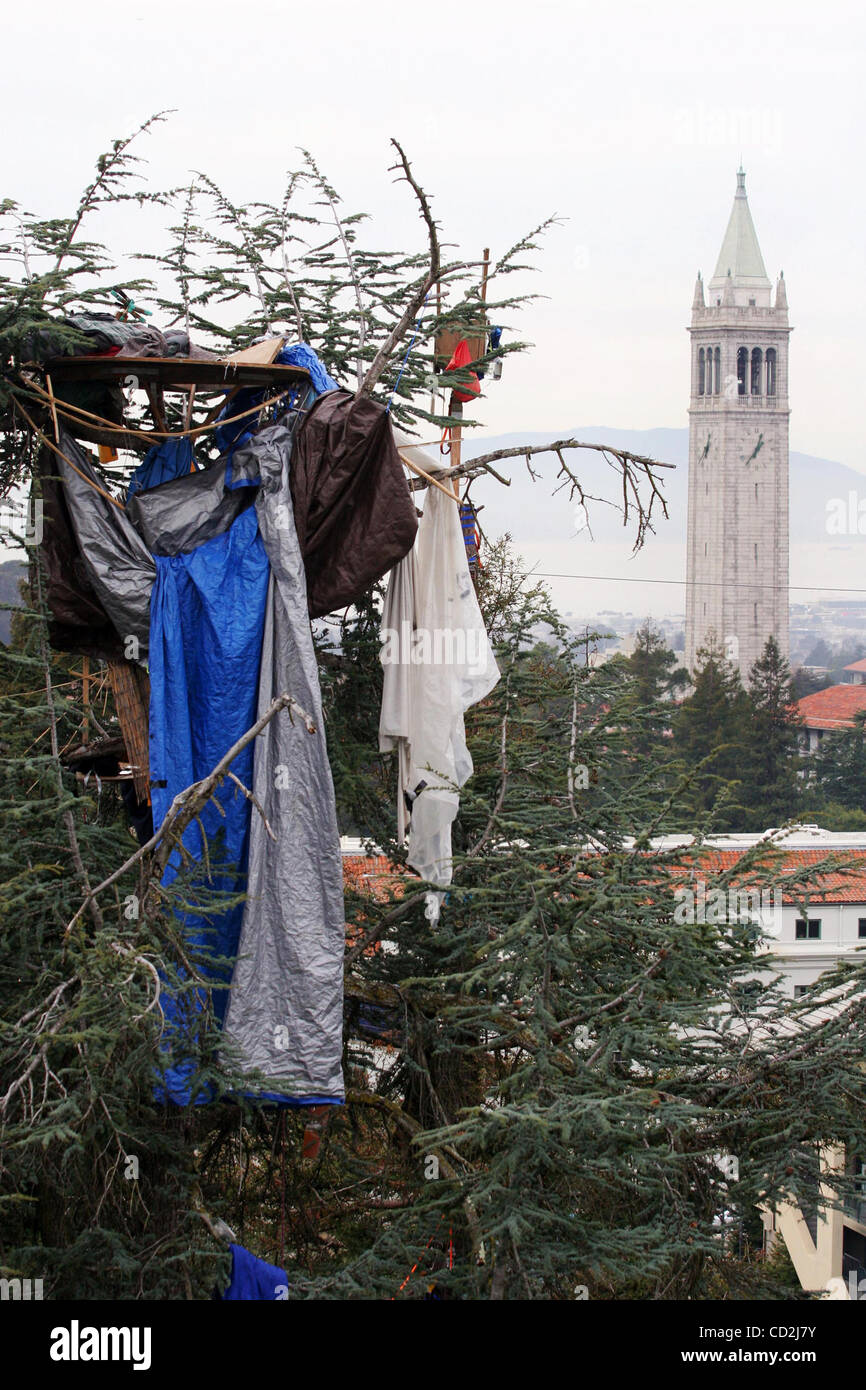 Tree sitters hi-res stock photography and images - Alamy